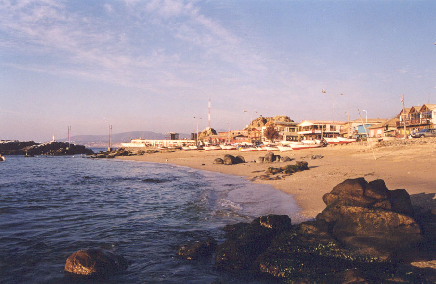 Galerías Fotográficas de Caleta Horcon