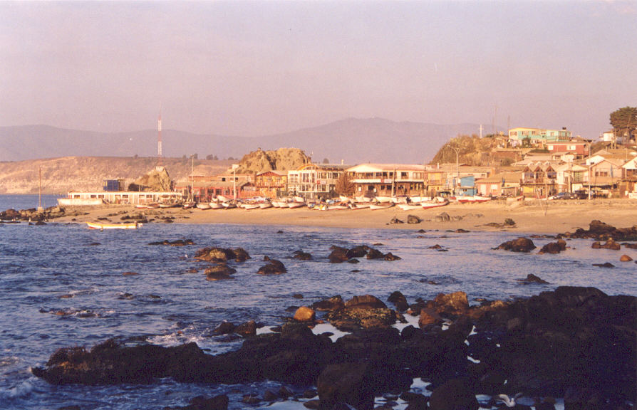 Galerías Fotográficas de Caleta Horcon